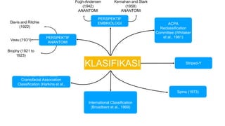 Feeding plate review | PPT