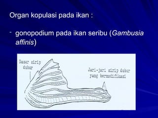 FISIOLOGI REPRODUKSI IKAN - PEMIJAHAN.pptx