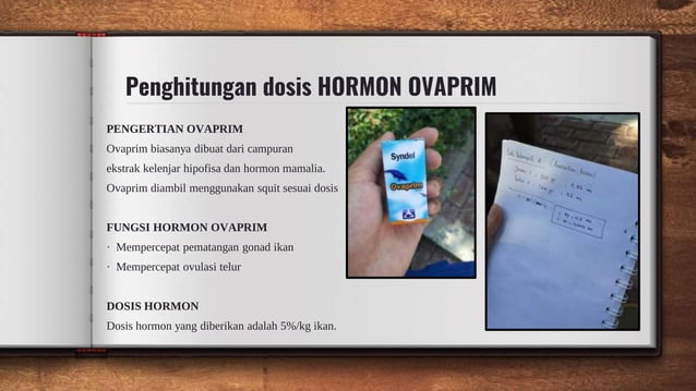 Pemijahan buatan ikan lele | PPTX