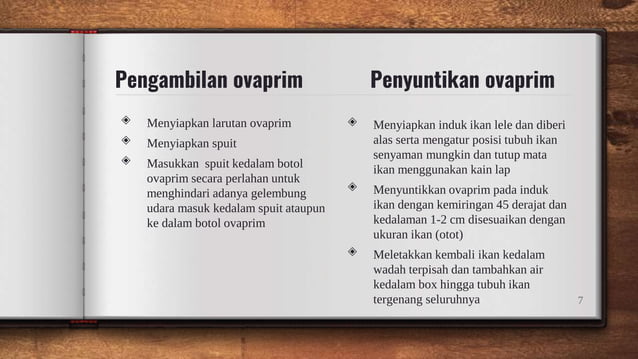 Pemijahan buatan ikan lele | PPTX