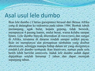 Pemijahan ikan lele dumbo secara intensif( buatan) | PPTX