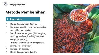 Pemijahan ikan NILA PPT PRESENTASI FISWAN | PPTX