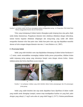 Pemijahan ikan patin | DOCX