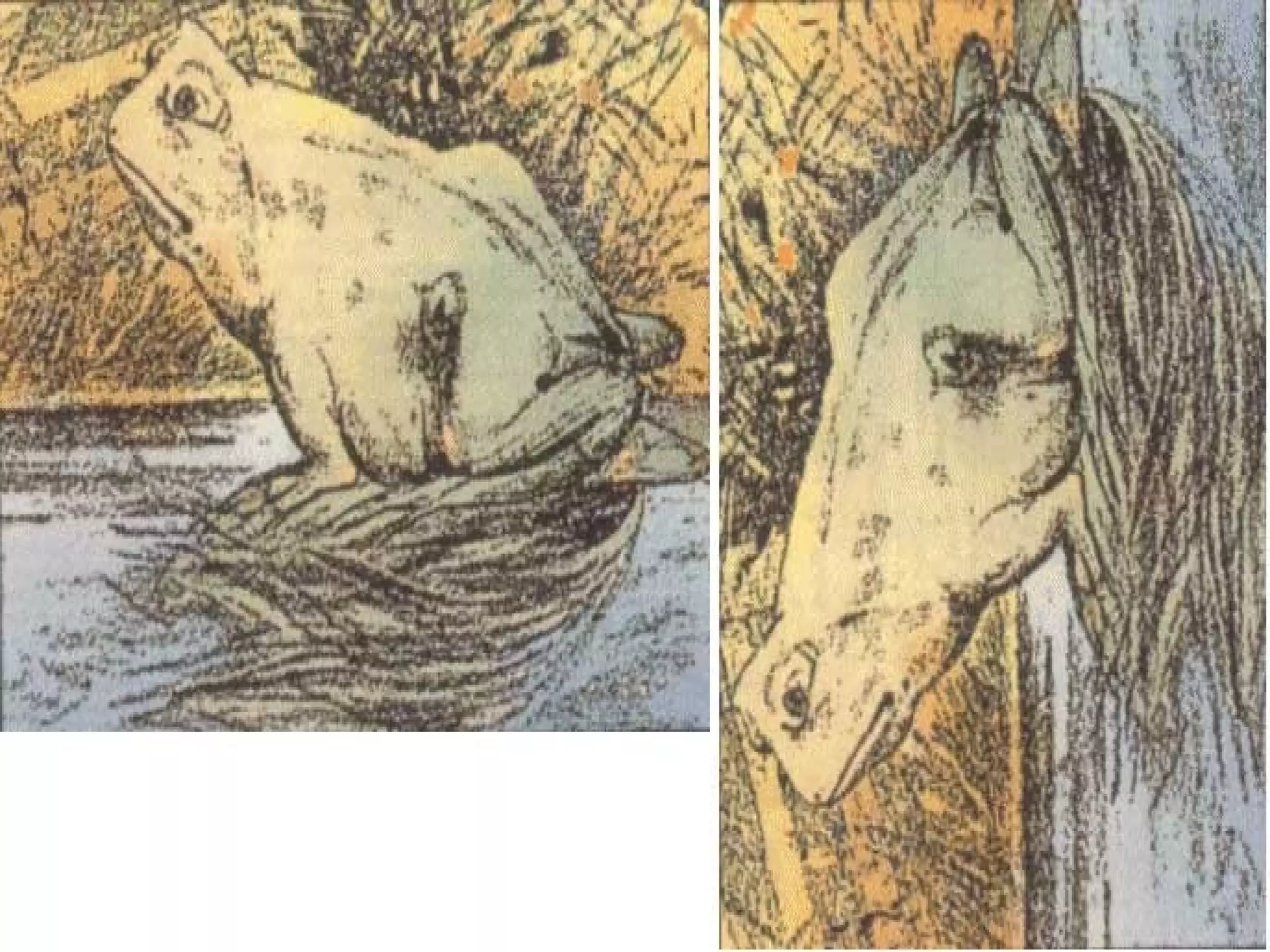 Pemikiran kritis | PPT