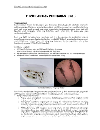 PEMILIHAN DAN PENEBARAN BENUR - BUDIDAYA UDANG VANNAMEI | PDF