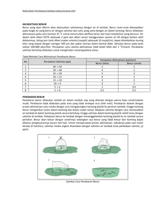 PEMILIHAN DAN PENEBARAN BENUR - BUDIDAYA UDANG VANNAMEI | PDF