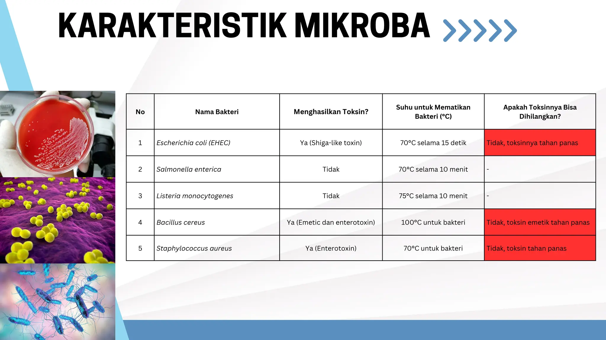 Pemilihan Jenis Sampel Pangan Untuk Pemeriksaan Laboratorium Paramater ...