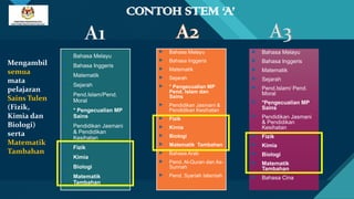 pemilihan pakej stem.pdf