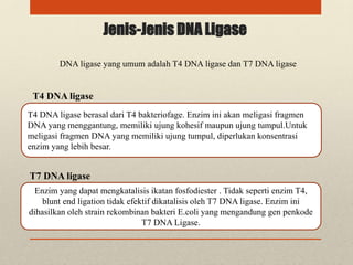 Pemotongan dan penempelan DNA | PPTX