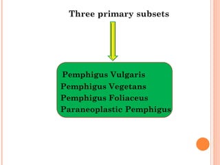 autoimmune skin disease pemphigus and pemphigoid | PPT