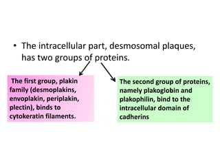 Pemphigus etilogy | PPTX