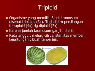 PEMULIAAN BUAH APEL.ppt