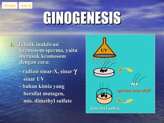 Pemuliaan dan bioteknologi ikan | PPT
