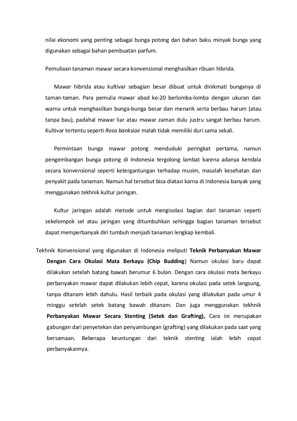 X PEMASARAN: pemuliaan bunga mawar