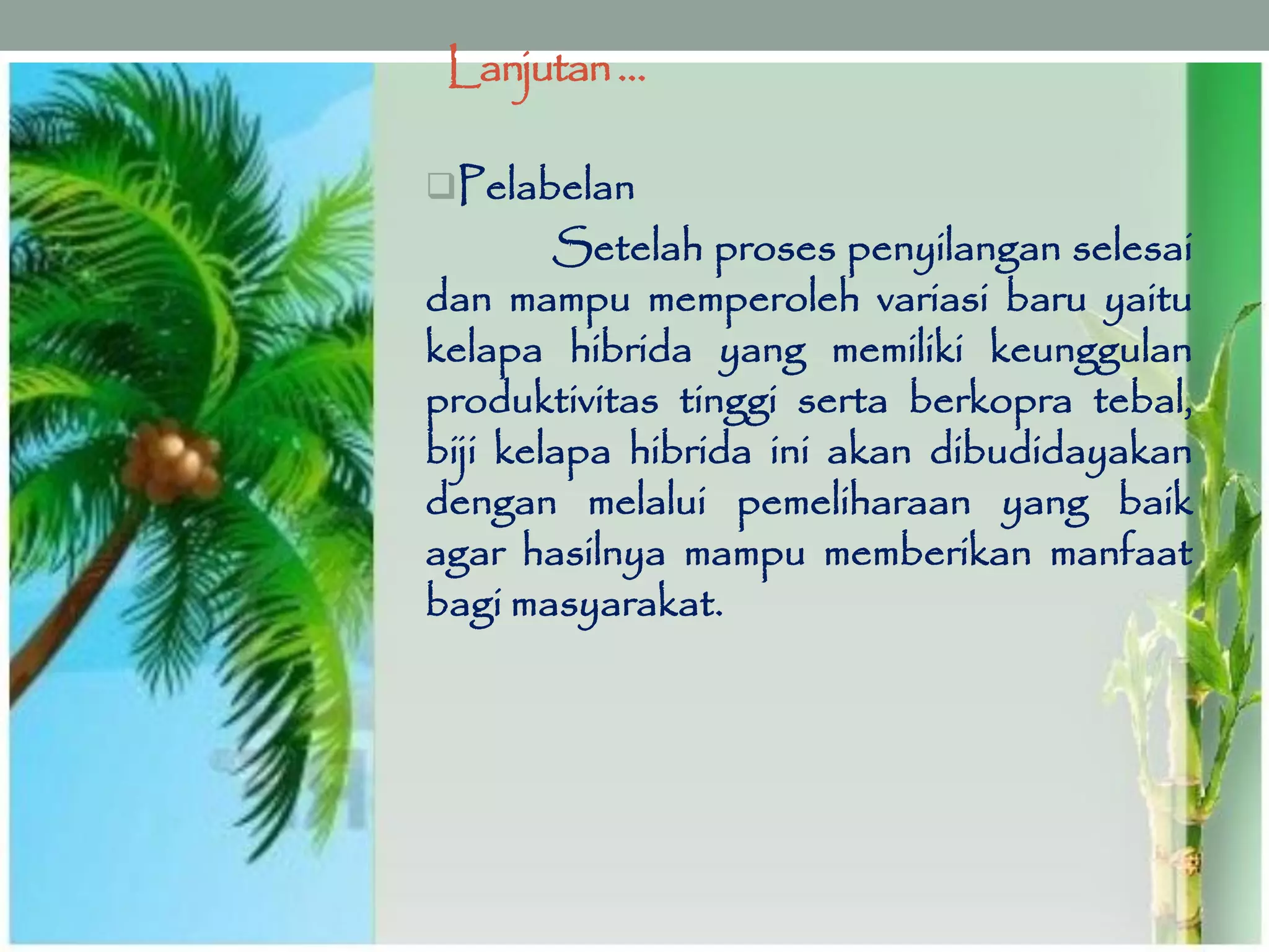 Pemuliaan tanaman biologi bunga &teknik persilangan buatan pada tanaman ...