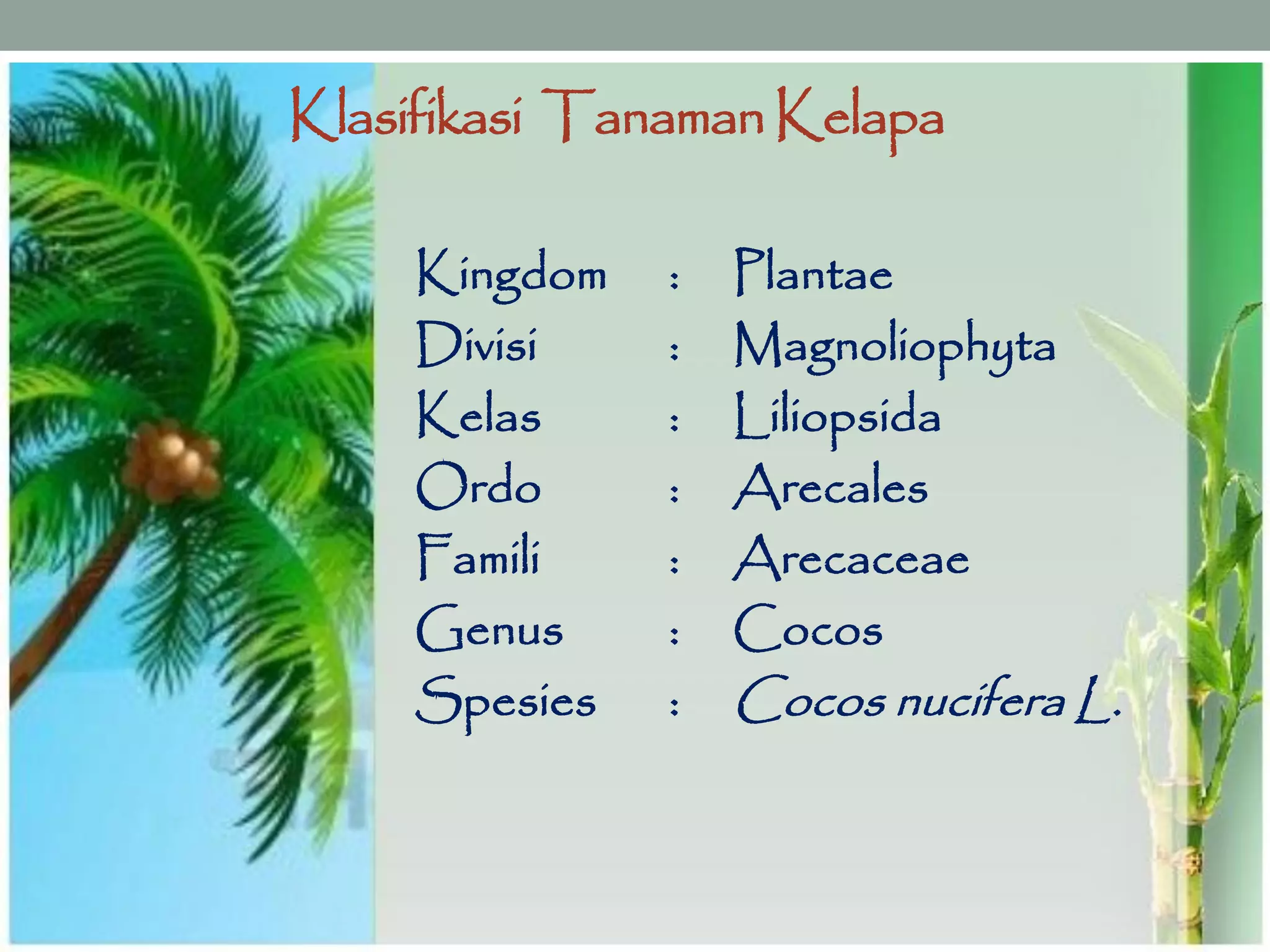 Pemuliaan tanaman biologi bunga &teknik persilangan buatan pada tanaman ...