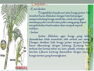 Pemuliaan tanaman biologi bunga &teknik persilangan buatan pada tanaman ...