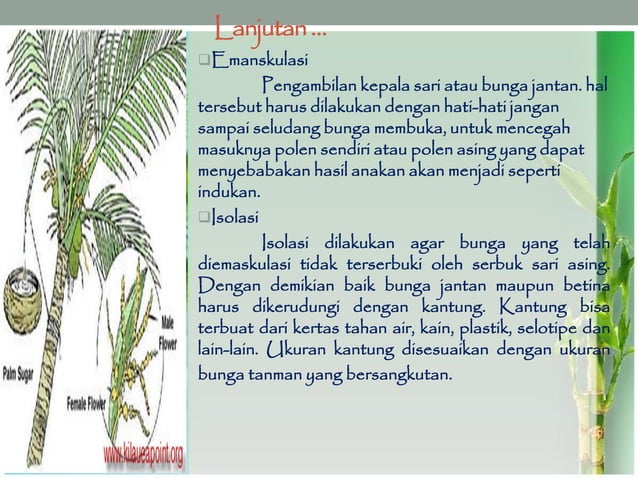 Pemuliaan tanaman biologi bunga &teknik persilangan buatan pada tanaman ...