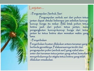 Pemuliaan tanaman biologi bunga &teknik persilangan buatan pada tanaman ...