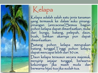 Pemuliaan tanaman biologi bunga &teknik persilangan buatan pada tanaman ...