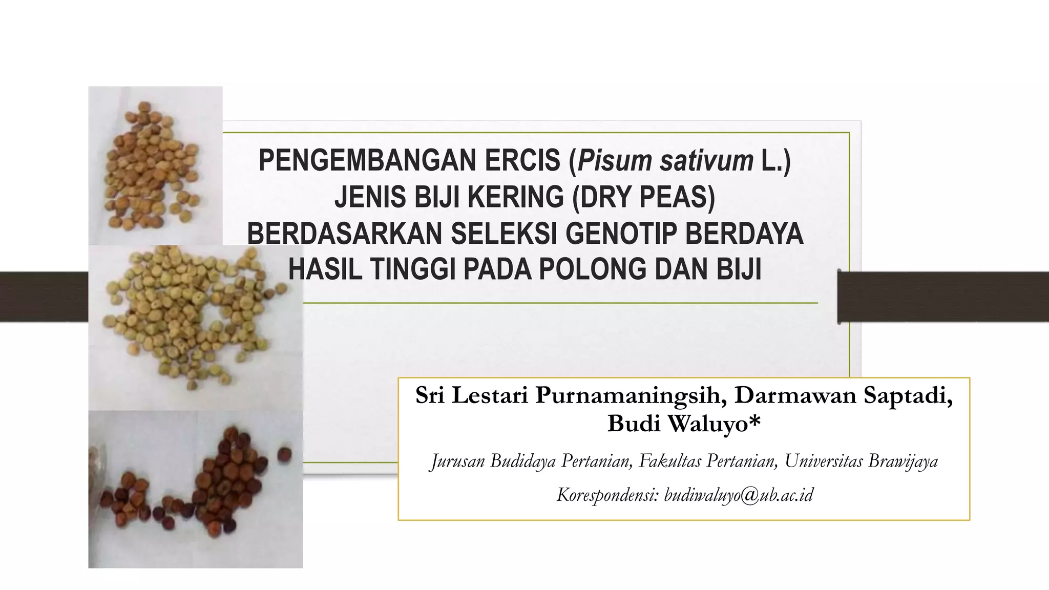 PENGEMBANGAN ERCIS (Pisum sativum L.) JENIS BIJI KERING (DRY PEAS ...