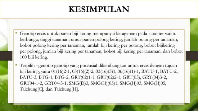 PENGEMBANGAN ERCIS (Pisum sativum L.) JENIS BIJI KERING (DRY PEAS ...