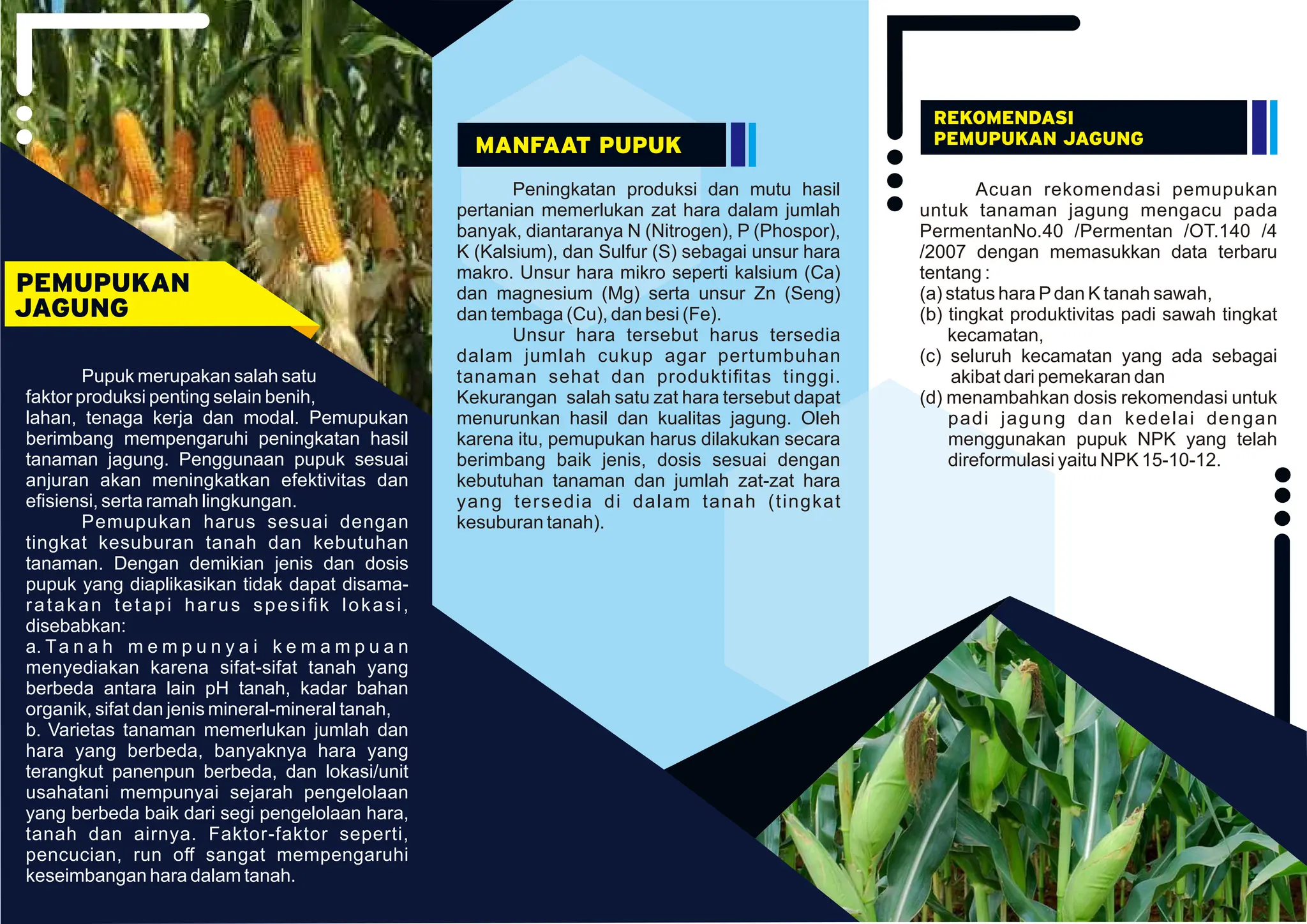 Pemupukan Berimbang pada Tanaman Jagung.pdf