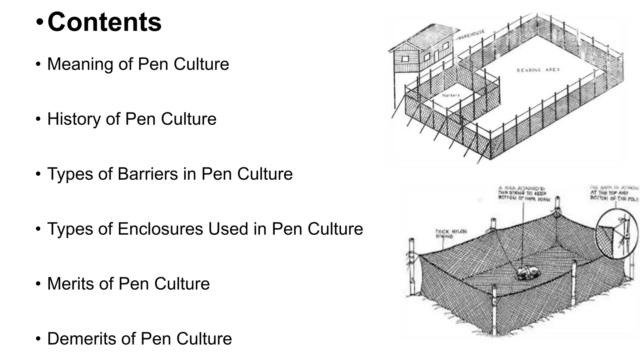 Pen-Culture.pptx
