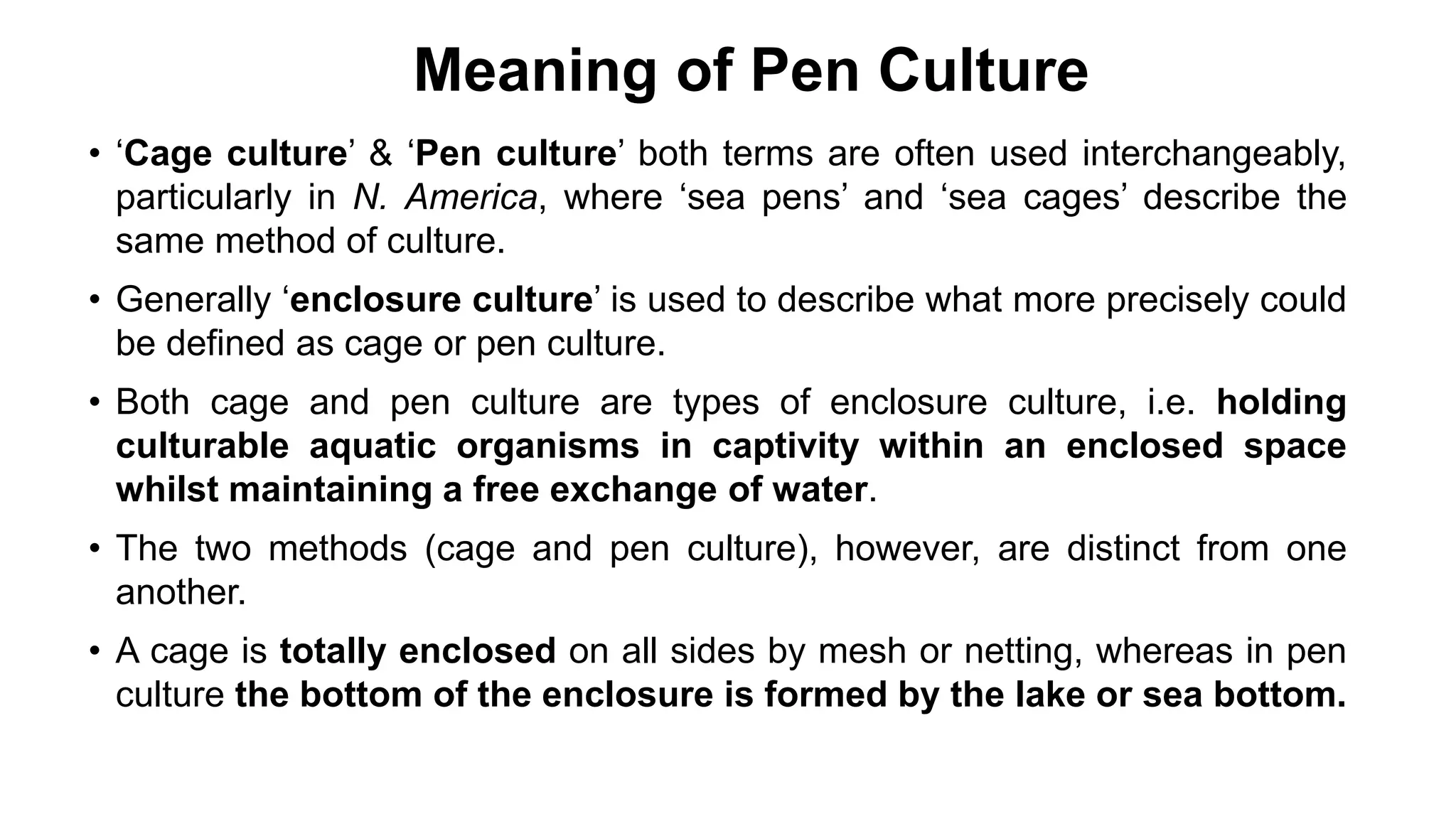 Pen-Culture.pptx