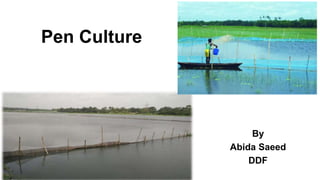 Pen-Culture.pptx
