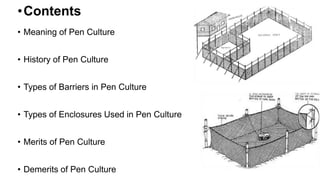 Pen-Culture.pptx