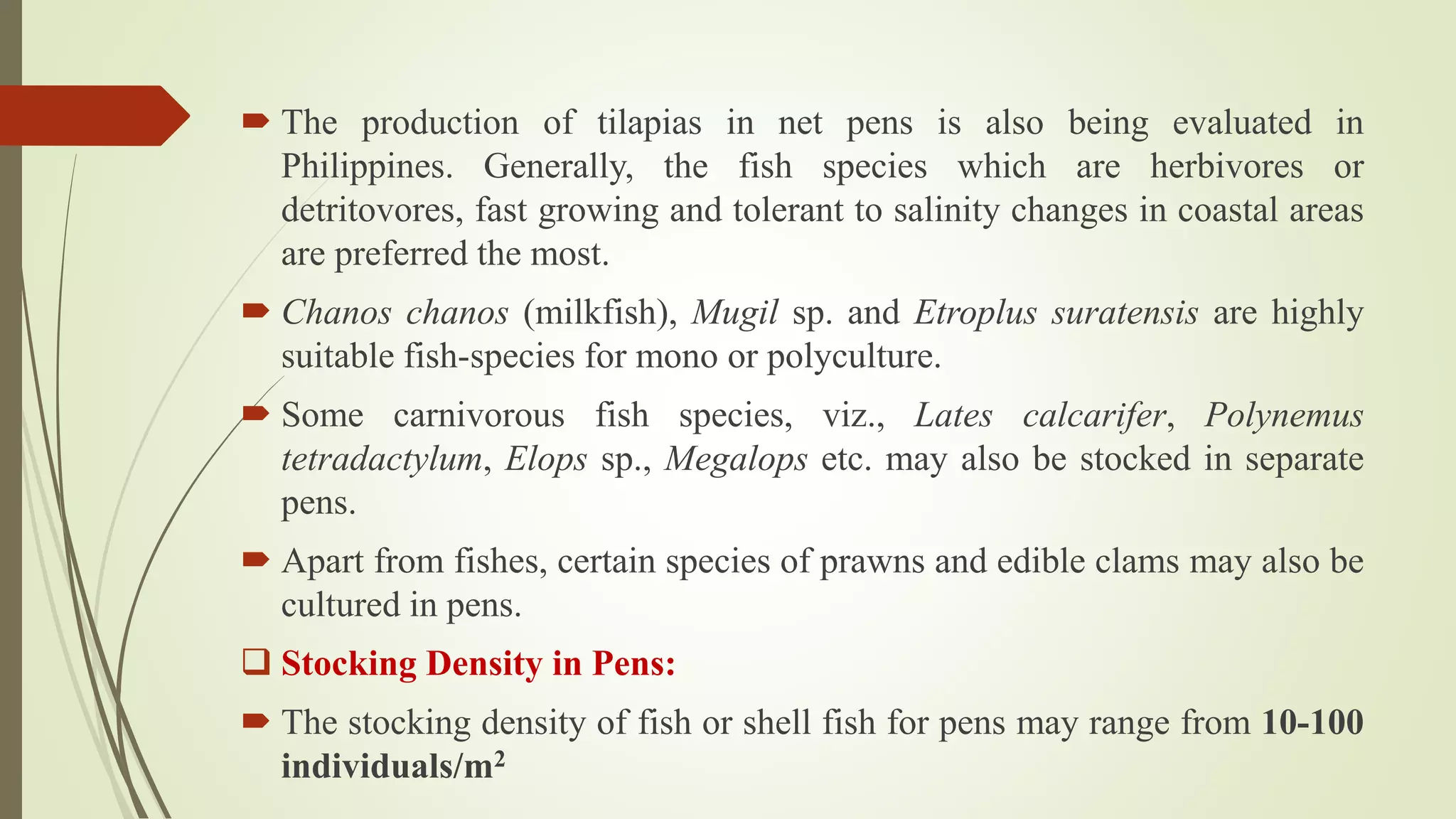 Pen-Culture.pptx