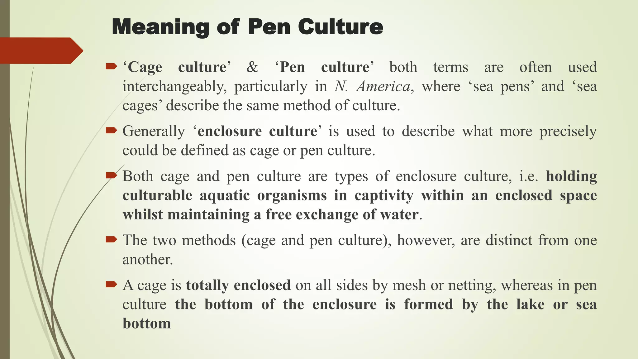 Pen-Culture.pptx