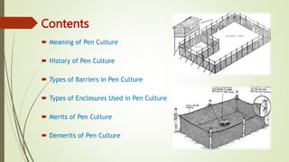 Pen-Culture.pptx
