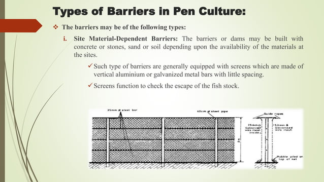 Pen-Culture.pptx | Fish and Aquariums | Pets