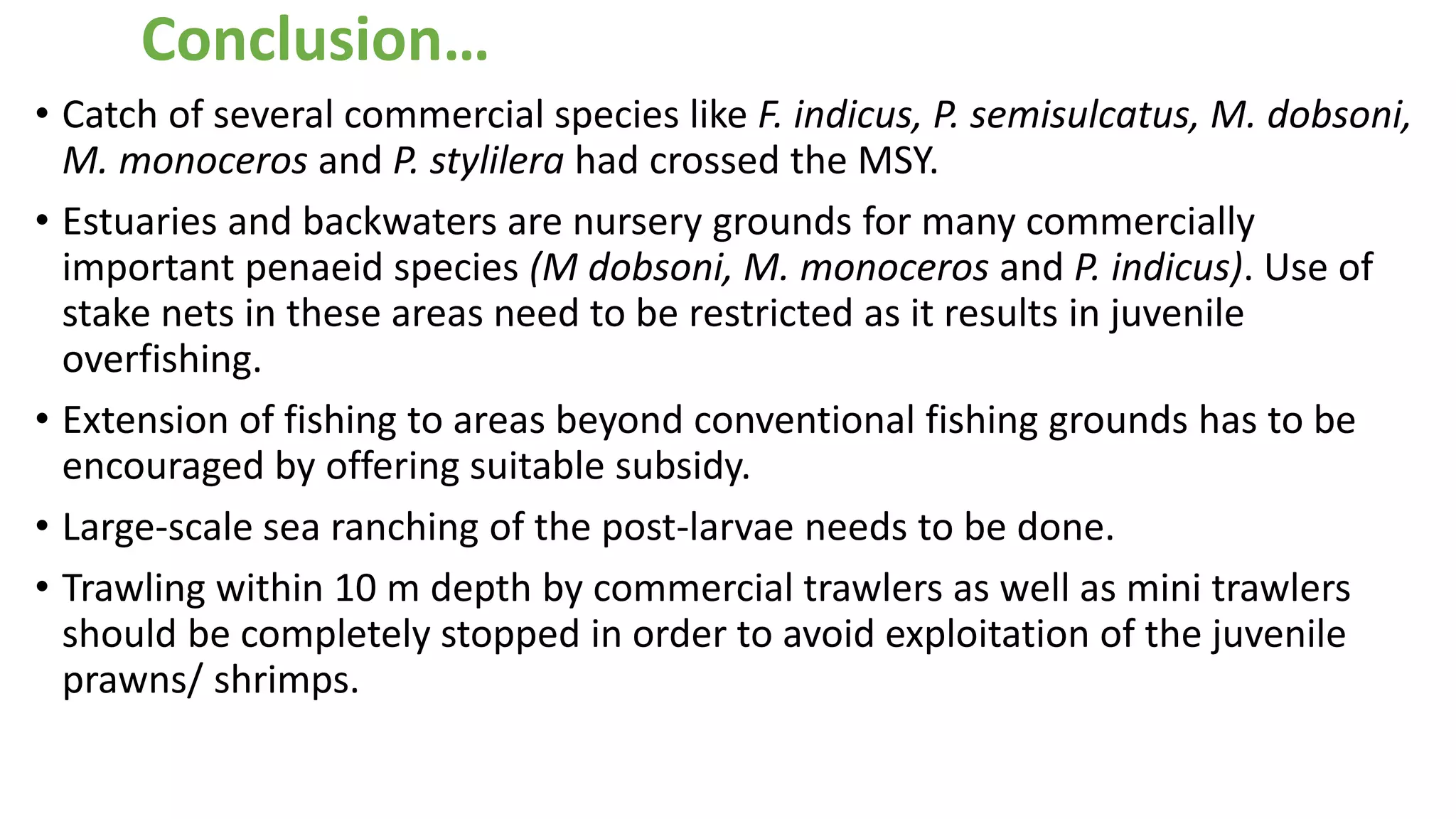 Penaeid shrimp fishery of india | PPTX