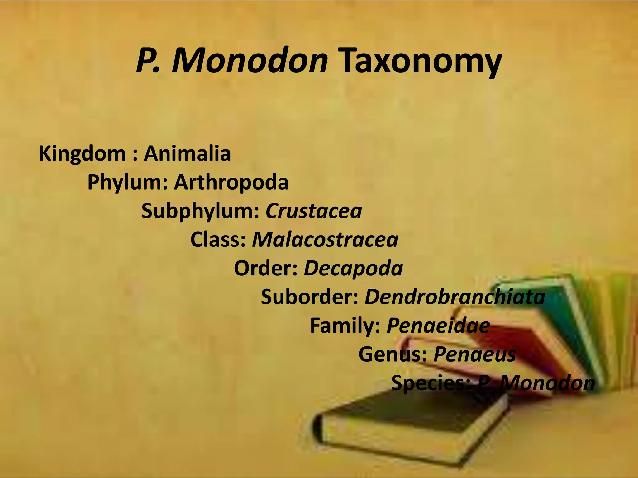 Hatchery Technology of Penaeus monodon | PPTX