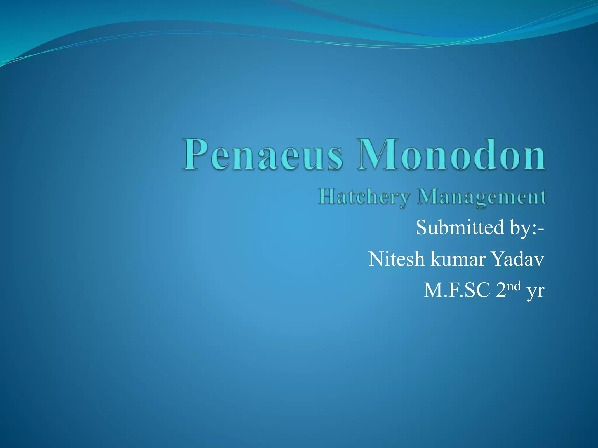 Penaeus monodon breeding and hatchery management | PPTX