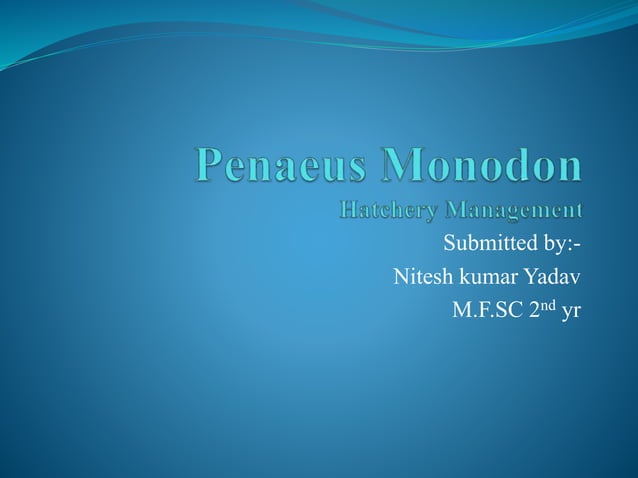 Penaeus monodon breeding and hatchery management | PPTX | Reproductive ...