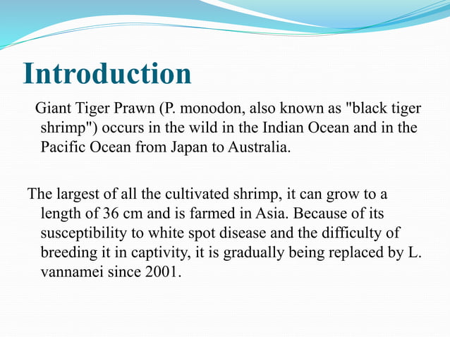 Penaeus monodon breeding and hatchery management | PPTX | Reproductive ...