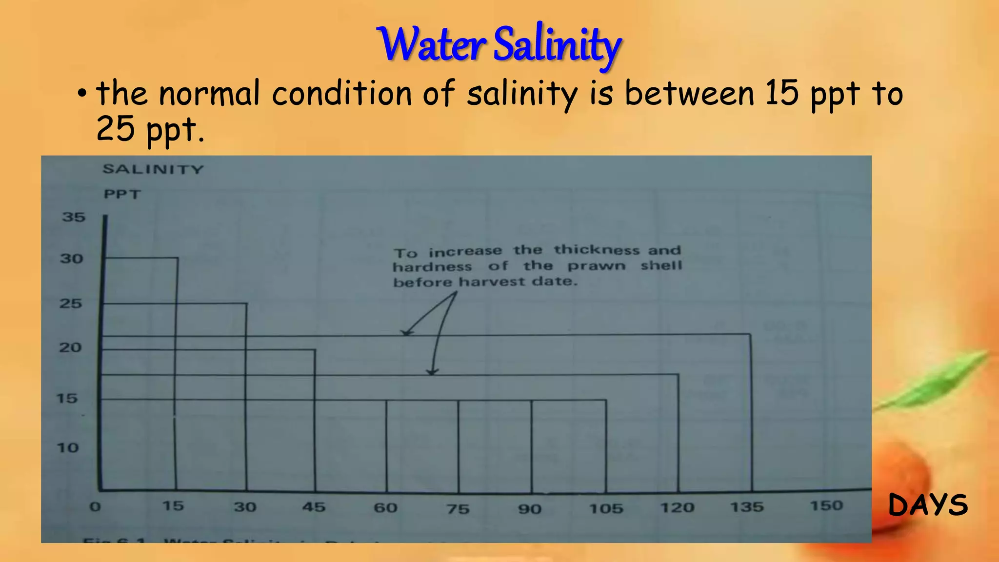 Penaeus monodon grow out culture | PPTX