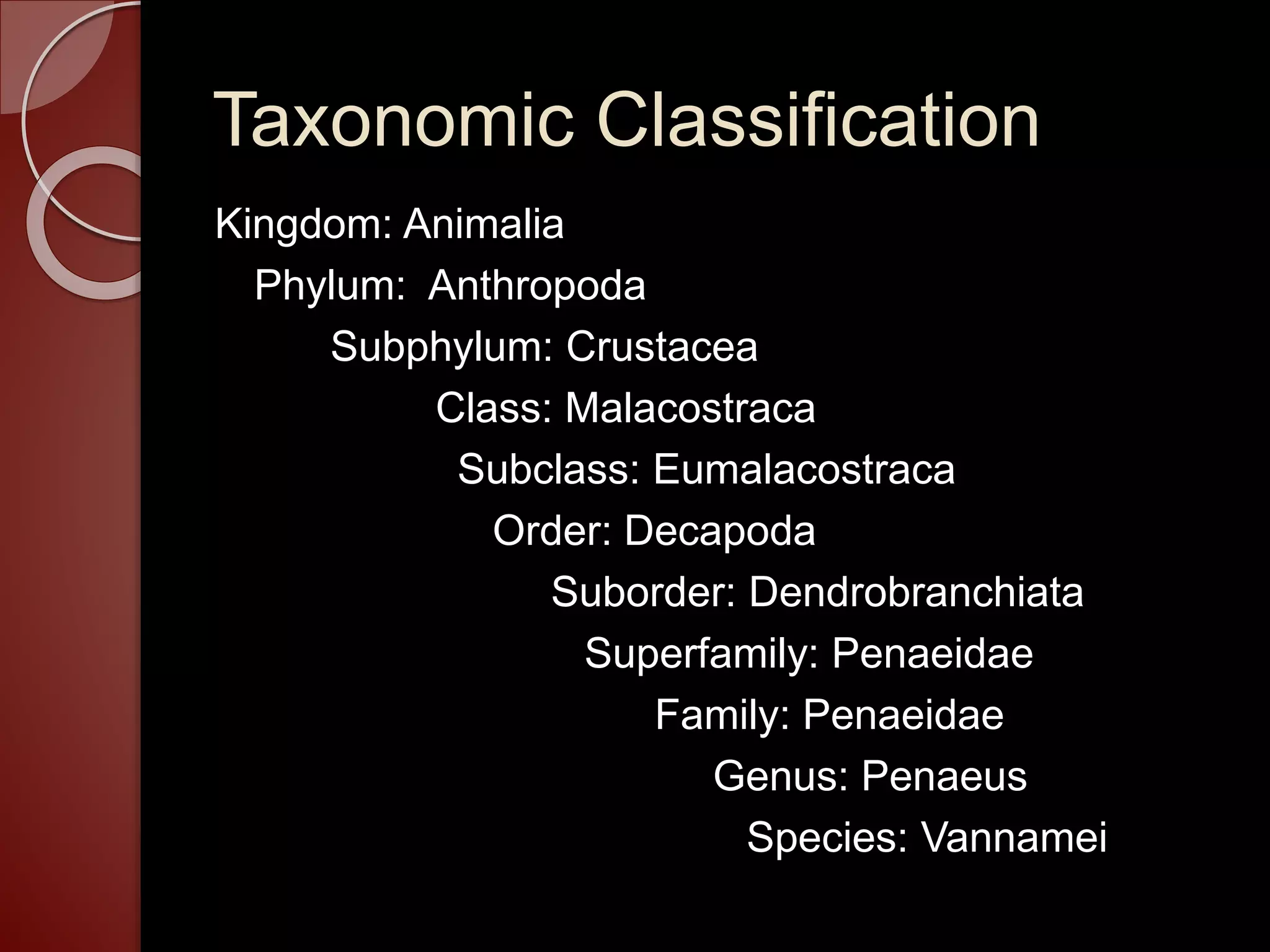 Penaeus vannamei grow-out culture | PPTX