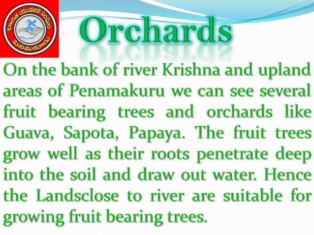 Penamakuru, the village | PPTX