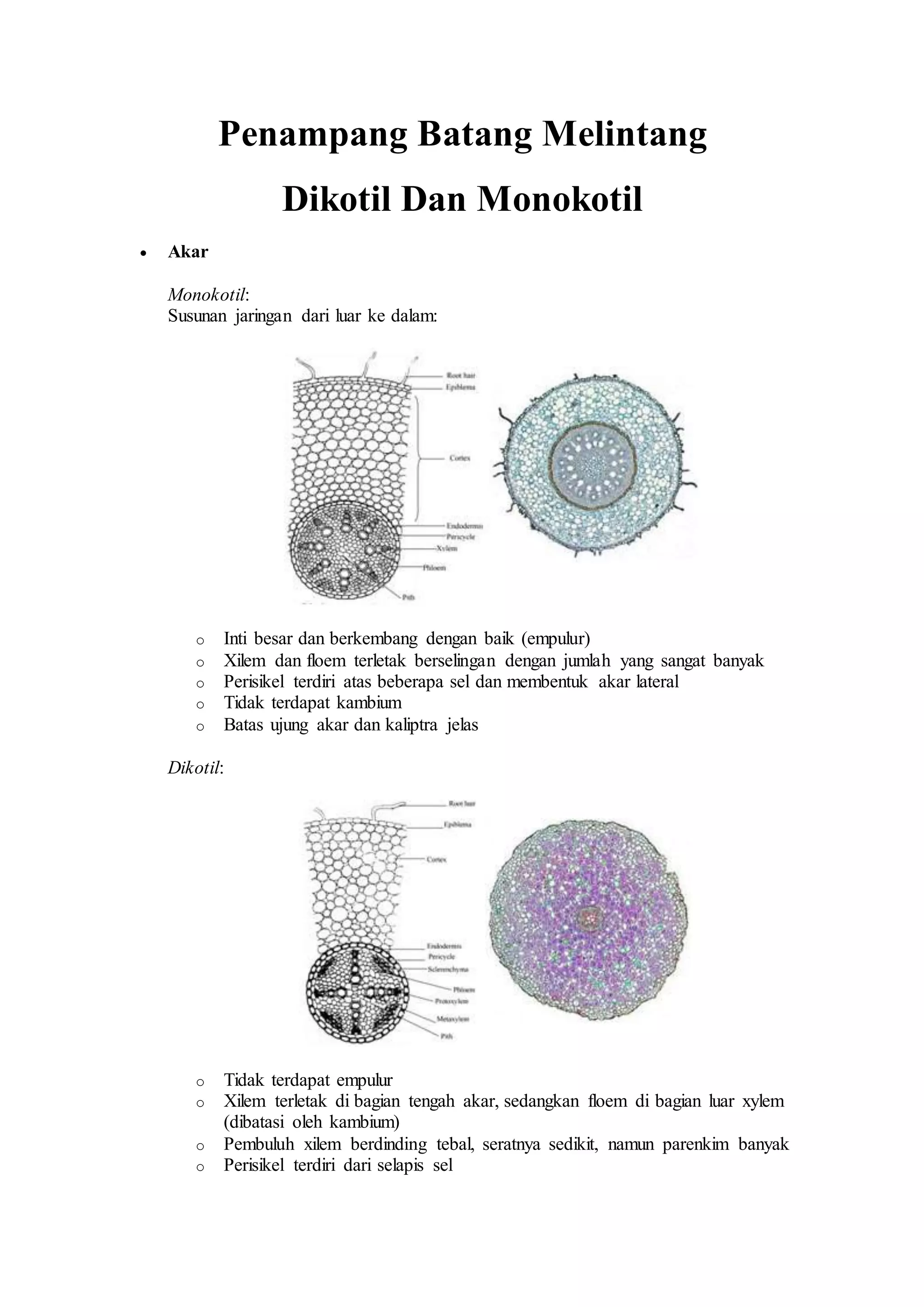 Penampang batang melintang | DOCX