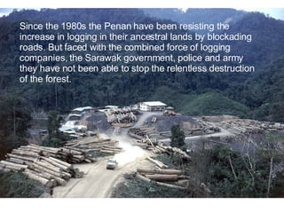 Penan Intro | PPT