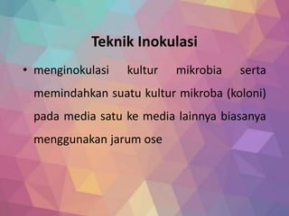 Penanaman dan isolasi mikroba, mikrobiologi | PPTX