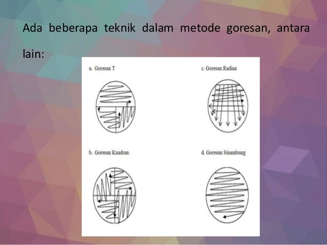 Penanaman dan isolasi mikroba, mikrobiologi