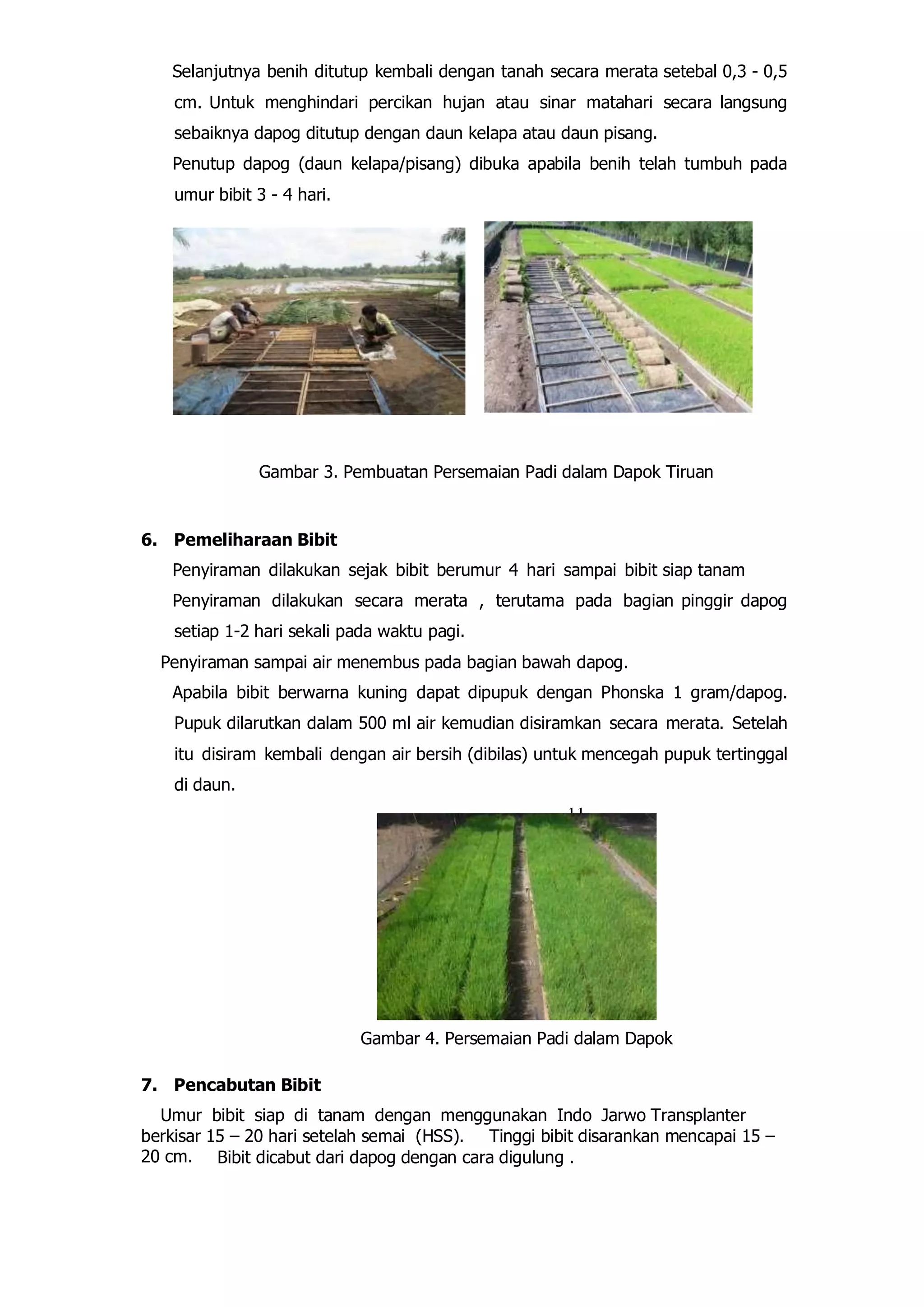 PENANAMAN PADI DENGAN RICE PLANTER.pdf