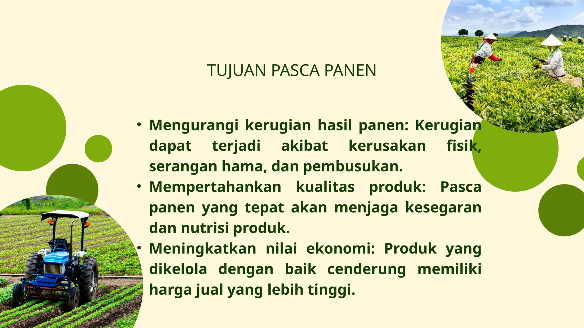 PENANGANAN PASCA PANEN HASIL PERTANIAN.pptx