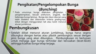 Penanganan pascapanen tanaman hias | PPTX